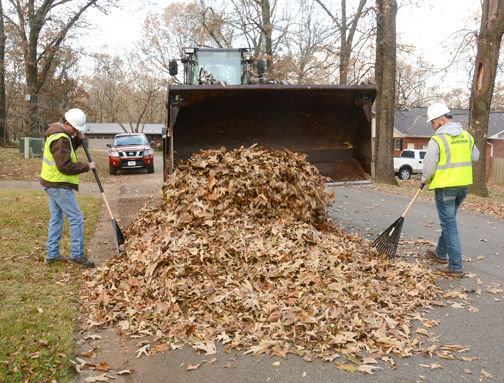 Leaf Pick-Up | Harrison Daily