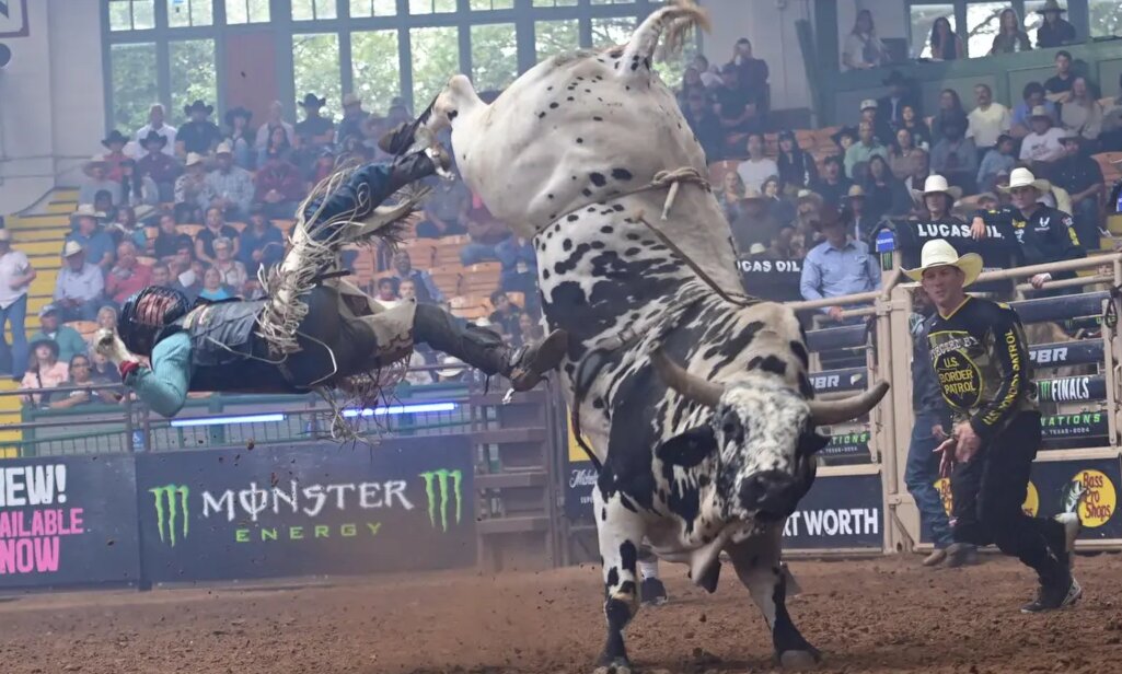 Pro Bull Riding Explodes | Sports History Weekly